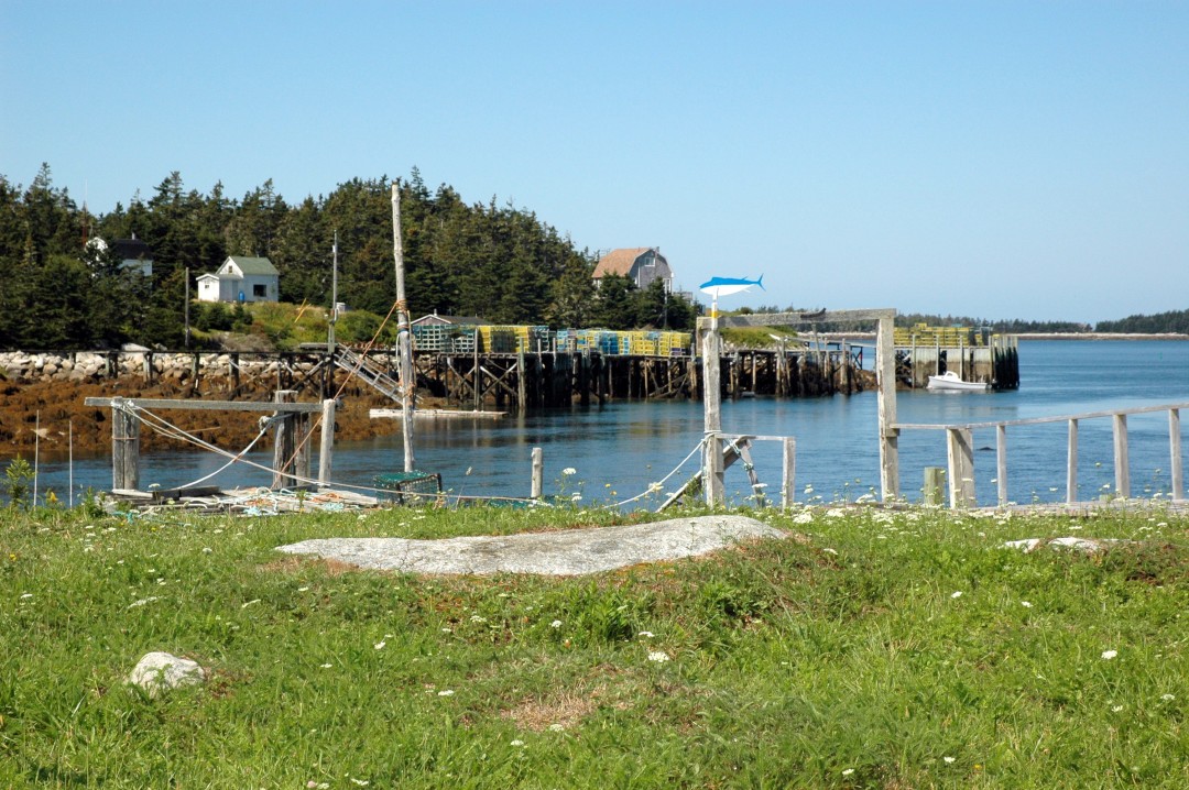 History | Tusket Island Tours